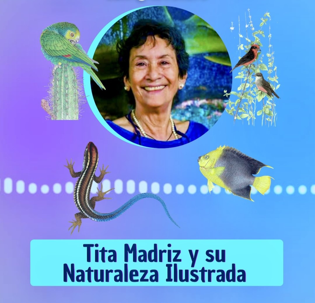 Mercedes Madriz en Planeta Vital: La ilustración científica como puente ...